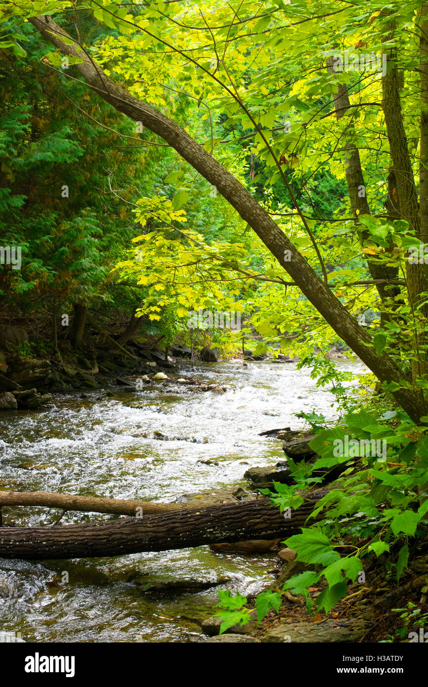 Kagawong River High Resolution Stock Photography and Images - Alamy