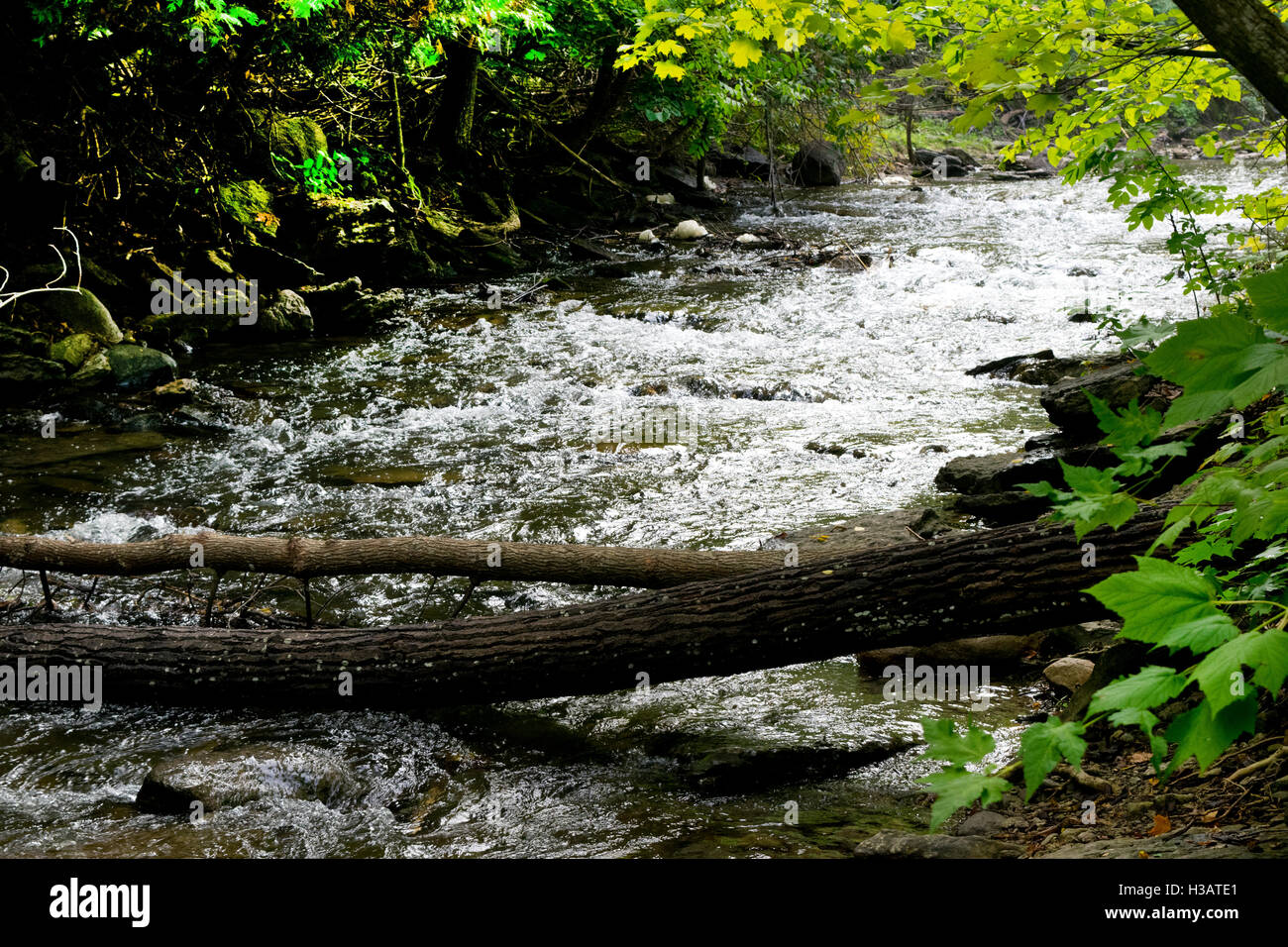 The Kagawong River, Manitoulin Island, Ontario Stock Photo - Alamy