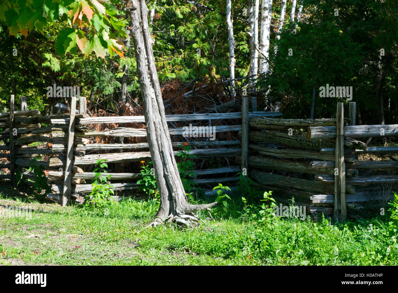 Farm split rail fence hi-res stock photography and images - Alamy