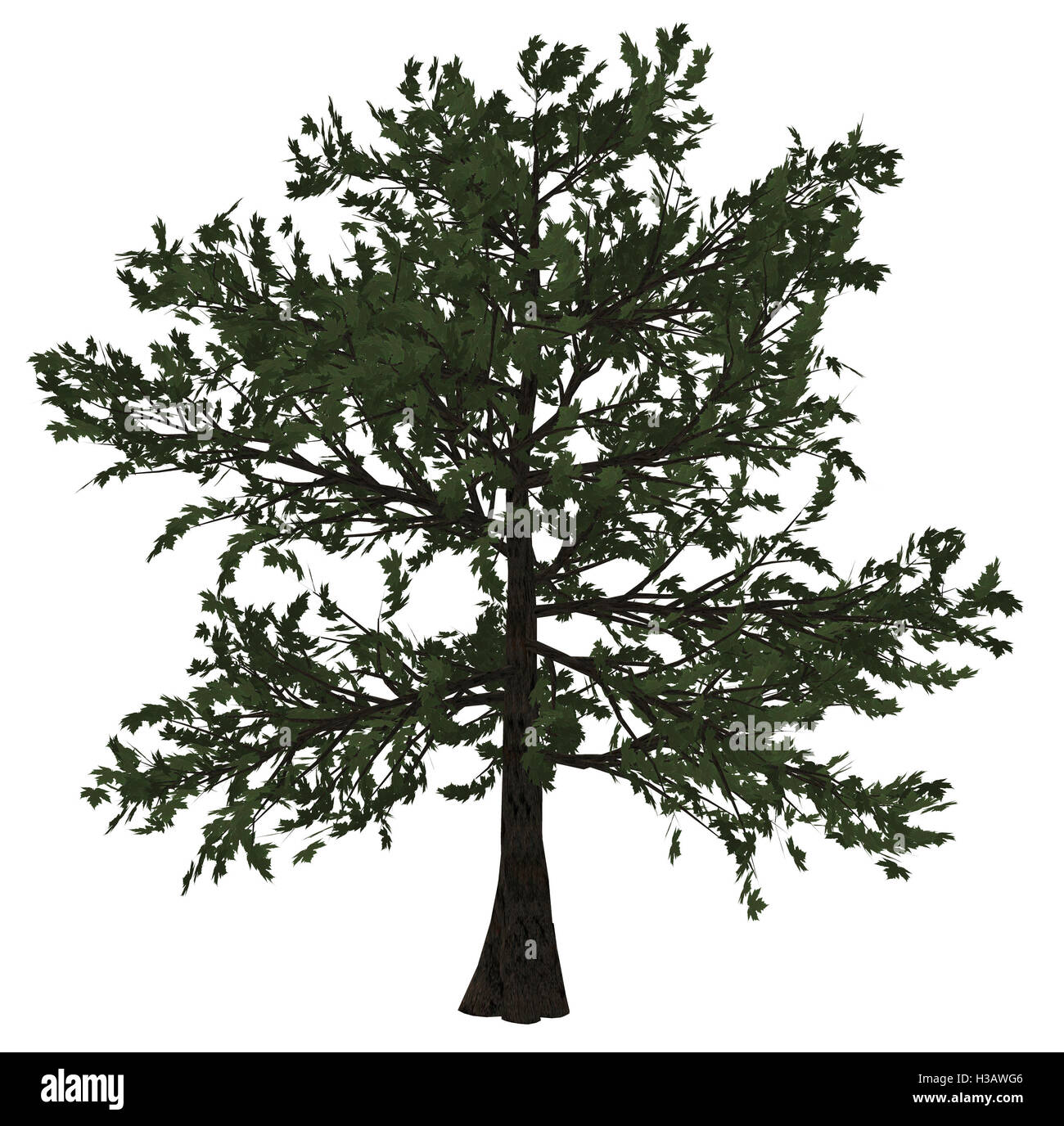 One Big Tree Stock Photo - Alamy