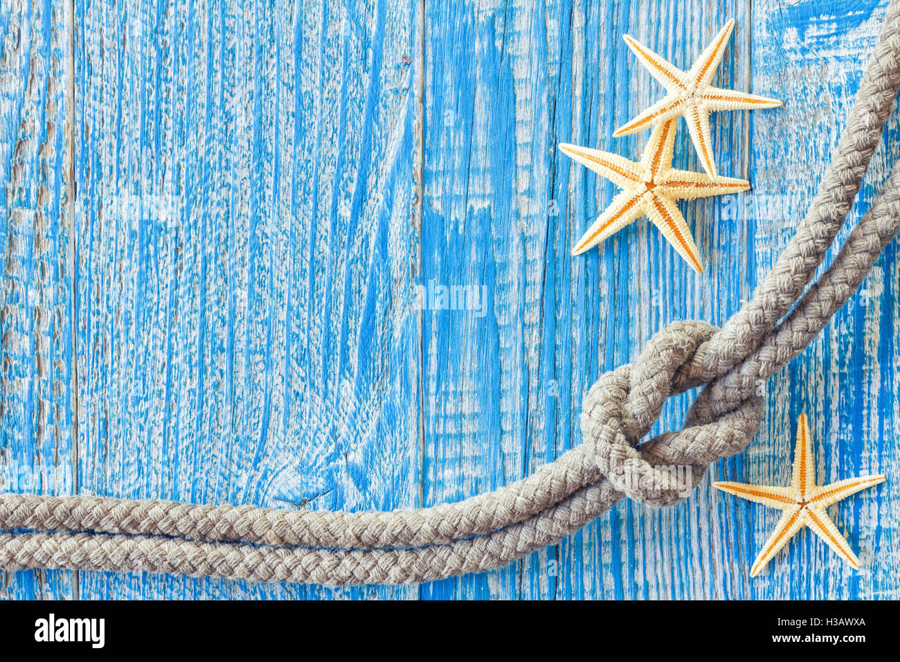 Rope and sea shells Stock Photo - Alamy