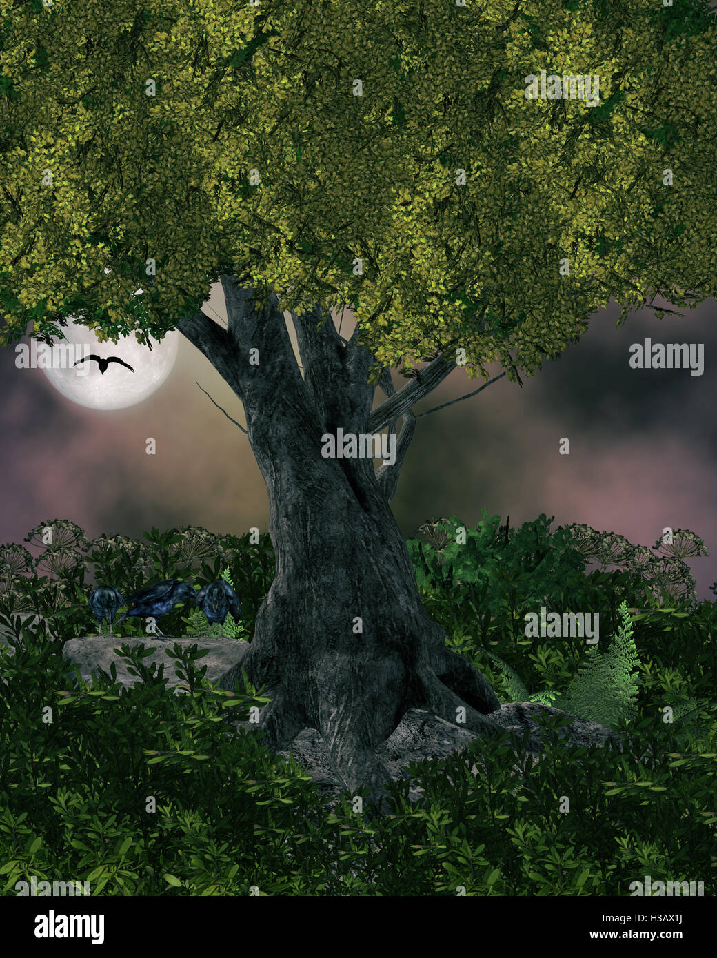 Outdoor Forest Background Stock Photo - Alamy