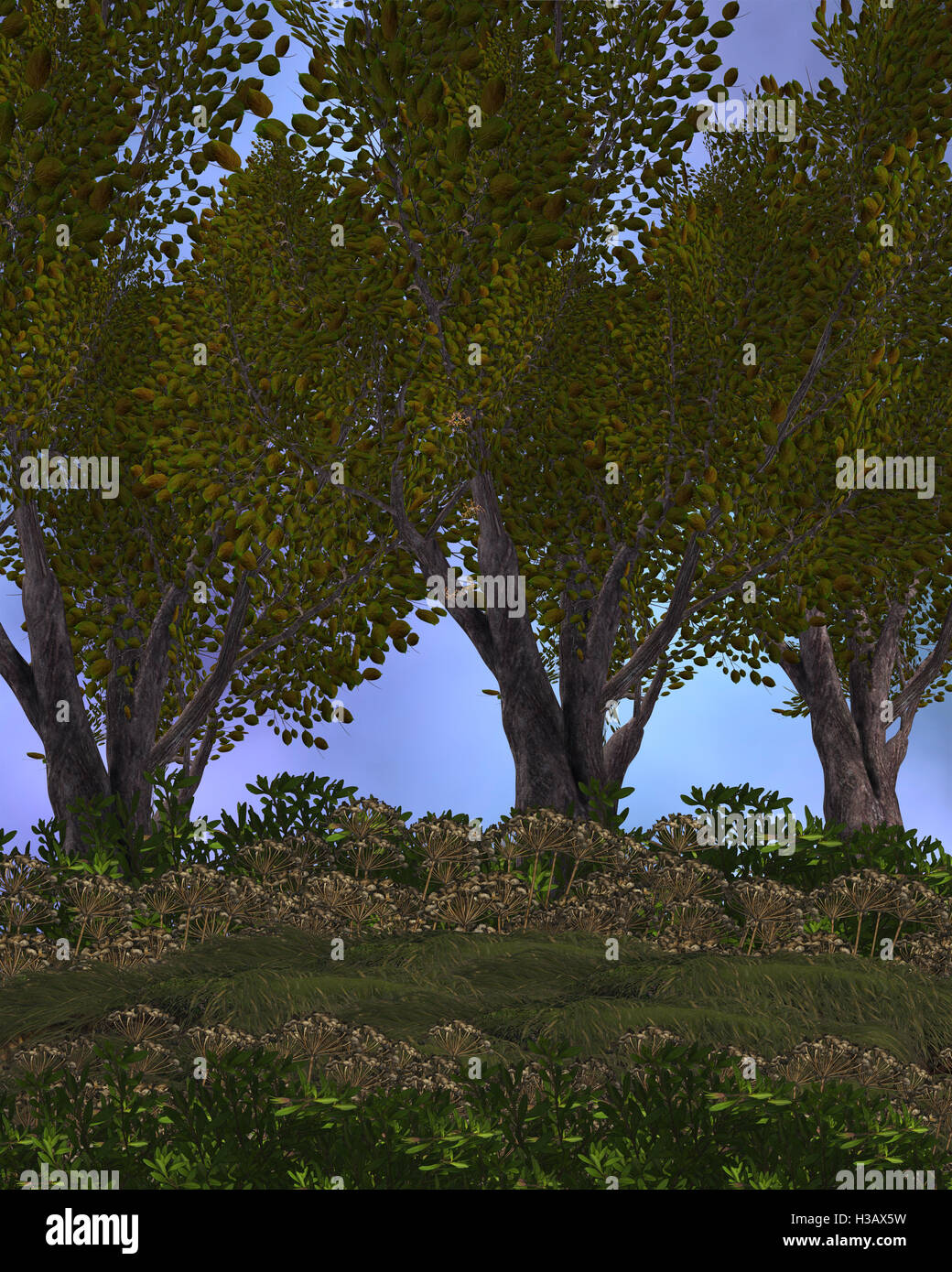 Outdoor Forest Background Stock Photo - Alamy