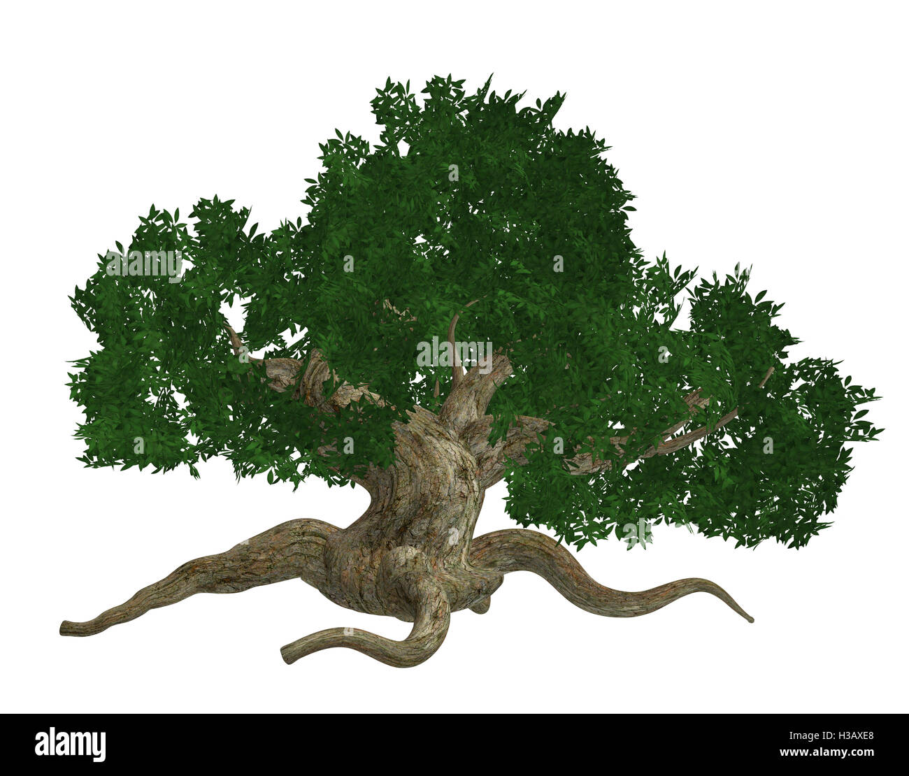 Big tree Cut Out Stock Images & Pictures - Alamy