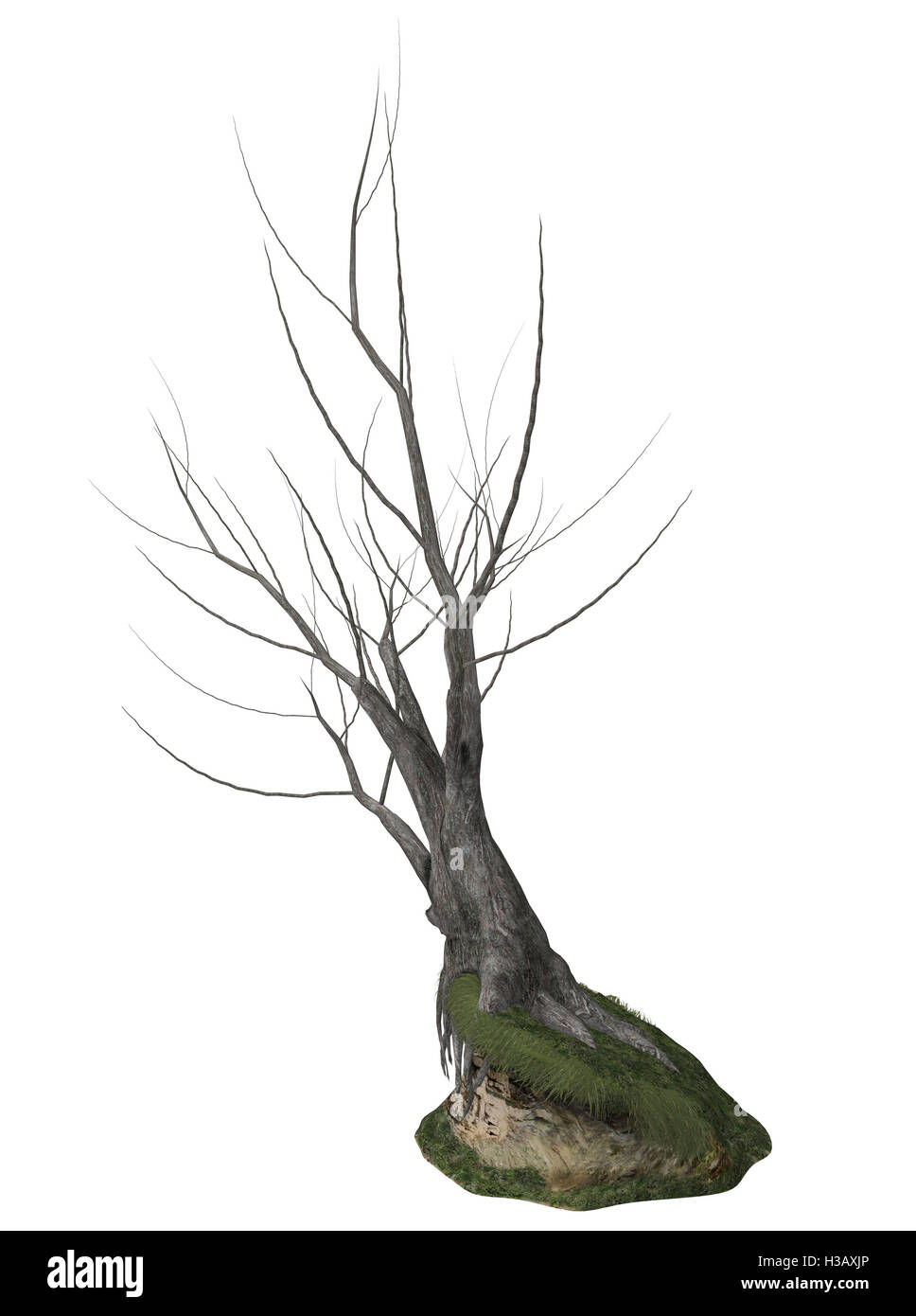 Dead forest Cut Out Stock Images & Pictures - Alamy