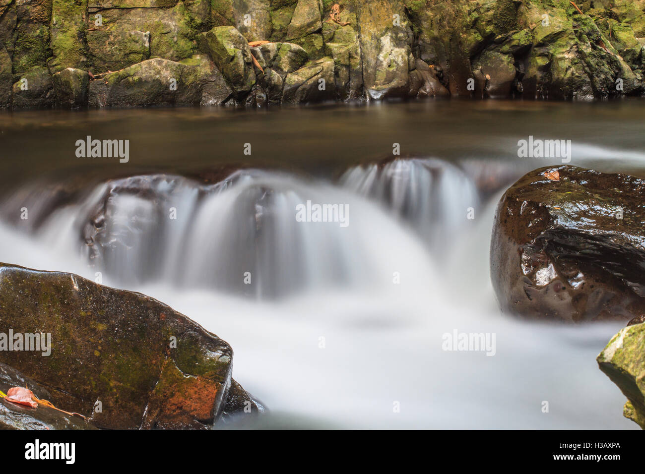 rainforest waterfall and rocks covered with moss Stock Photo - Alamy