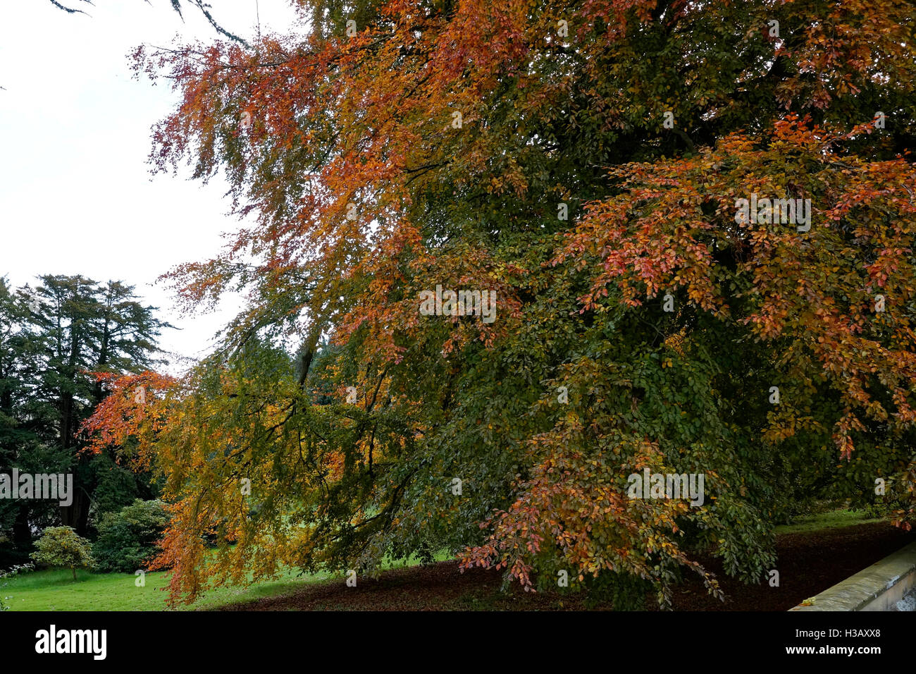 Br colours hi-res stock photography and images - Alamy
