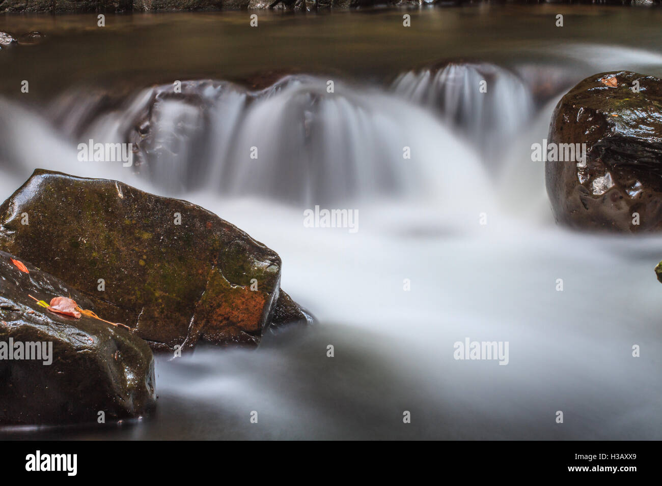 rainforest waterfall and rocks covered with moss Stock Photo - Alamy