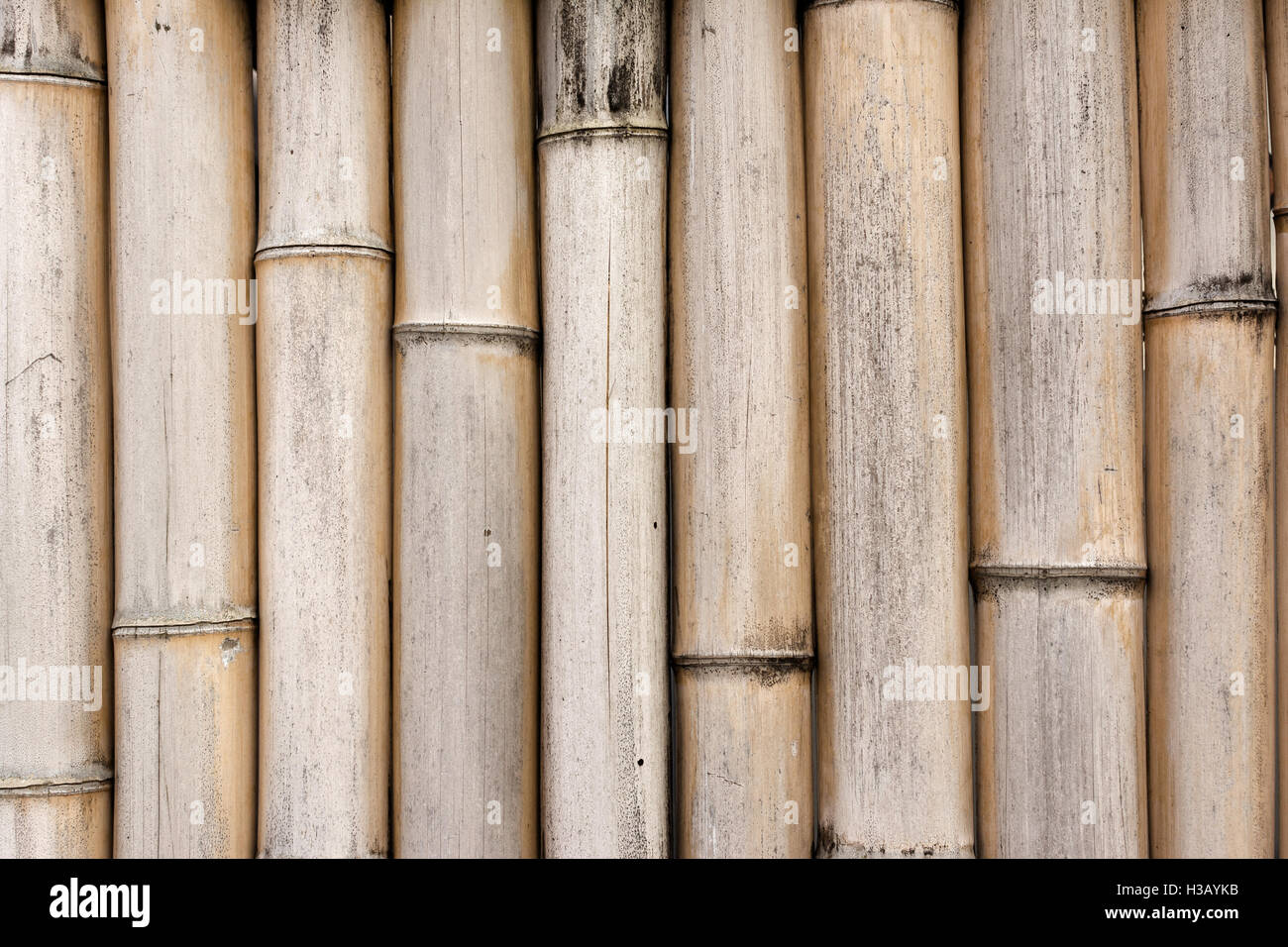 Background texture of bamboo Stock Photo - Alamy