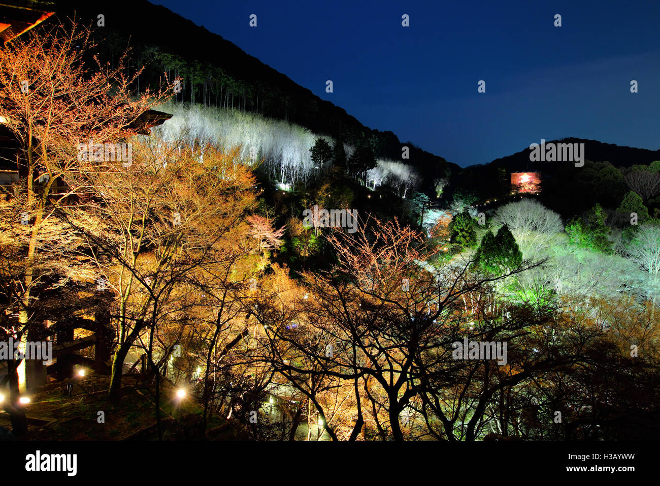 Japanese temple at night Stock Photo - Alamy