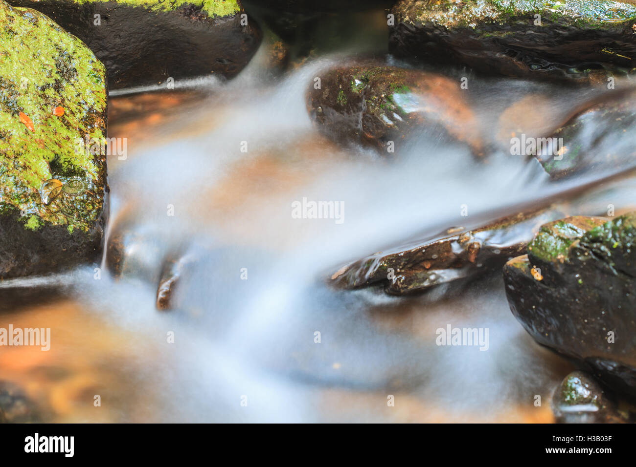 rainforest waterfall and rocks covered with moss Stock Photo - Alamy