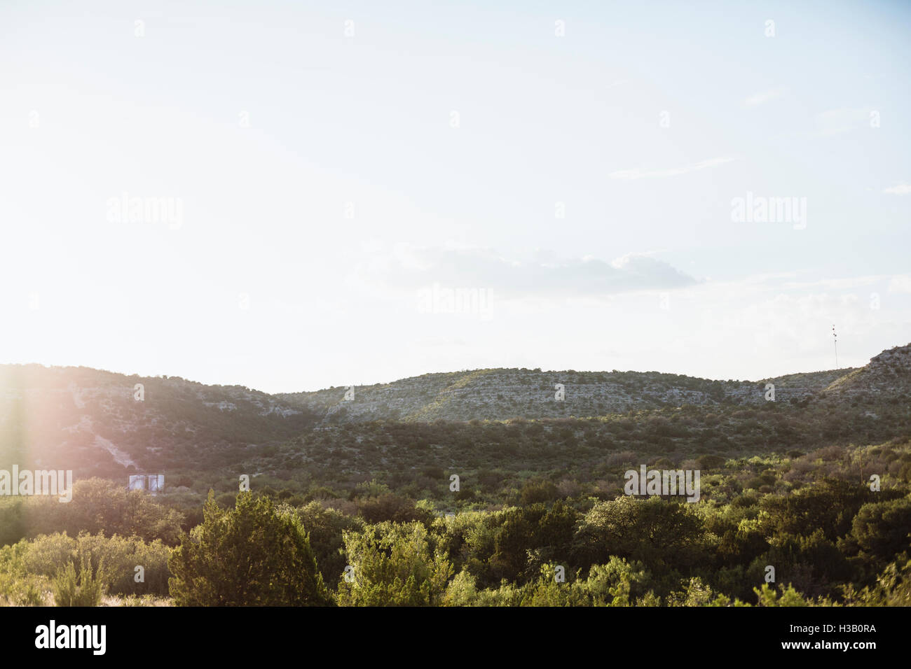 lush countryside landscape in Texas with sun setting Stock Photo - Alamy
