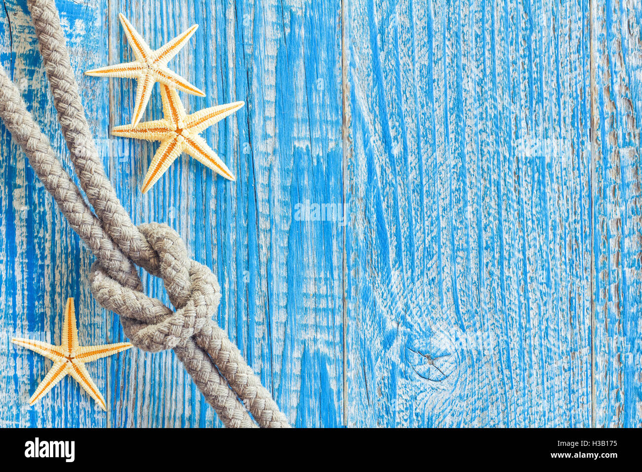 Rope and sea shells Stock Photo - Alamy