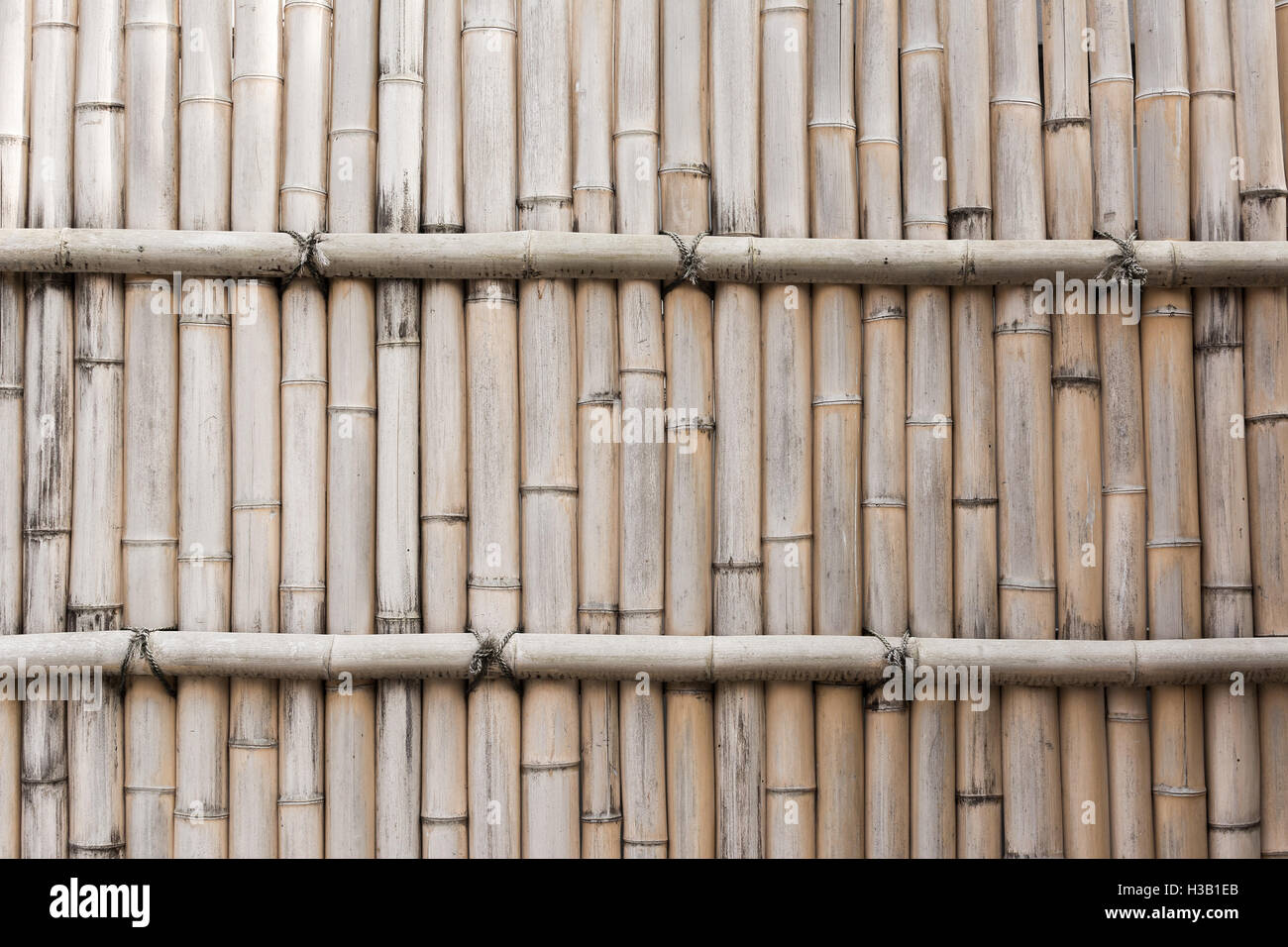 Background texture of bamboo Stock Photo - Alamy