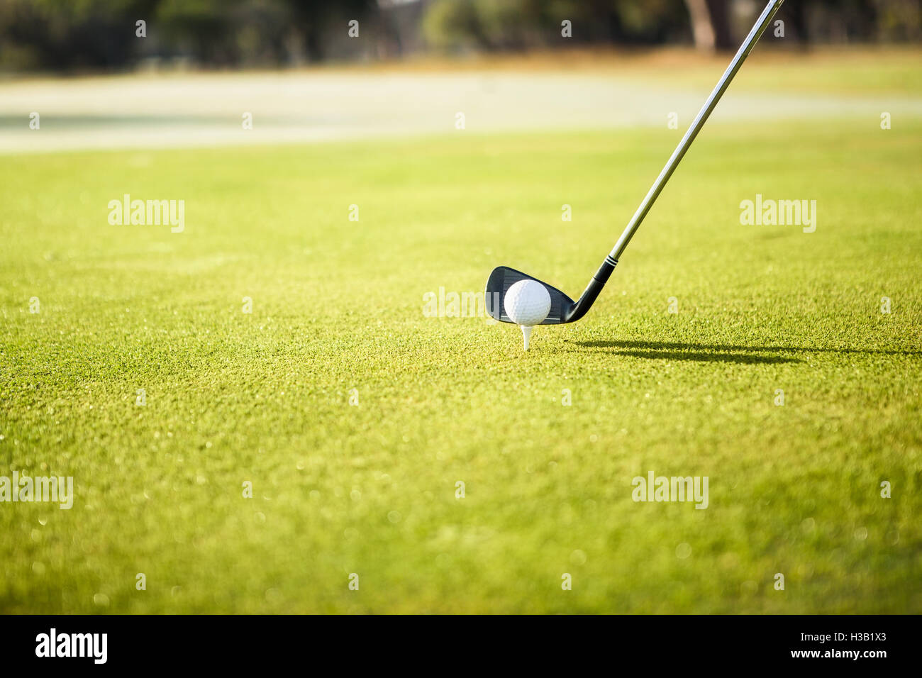 Golf ball and club close up hi-res stock photography and images - Alamy
