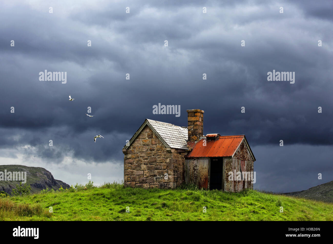 Dilapidated crofters cottage at Elphin Scotland Stock Photo - Alamy