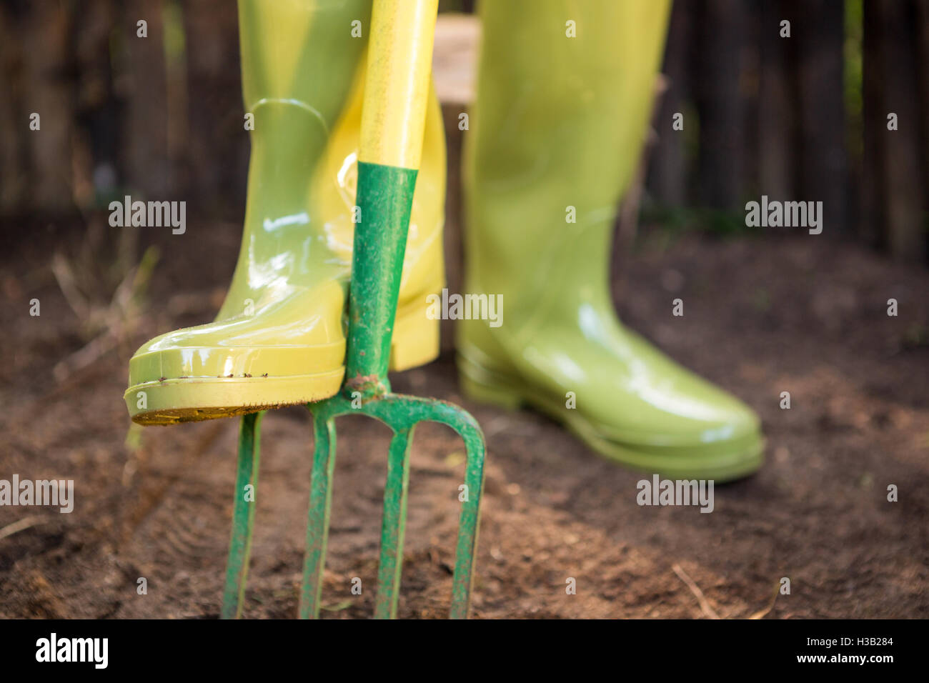 Low section of gardener stepping on fork at farm Stock Photo - Alamy