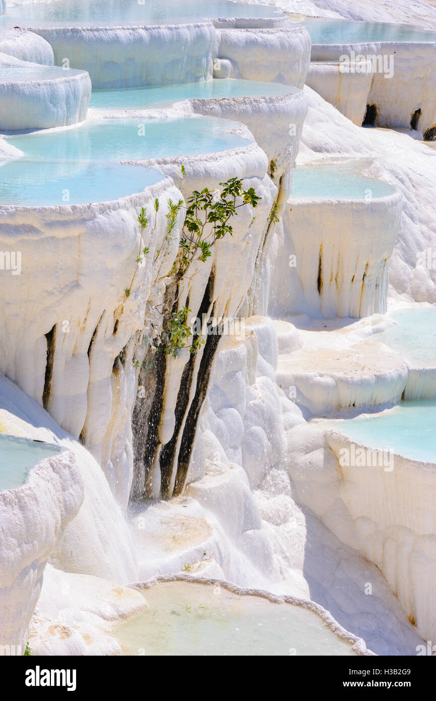 Blue water travertine pools at Pamukkale, Turkey Stock Photo - Alamy