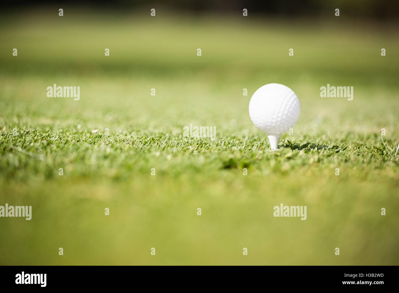 Close up of a golf ball Stock Photo - Alamy
