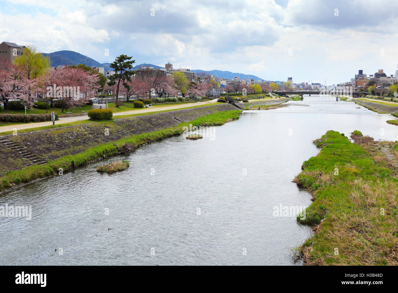Kamo river in Kyoto Stock Photo - Alamy