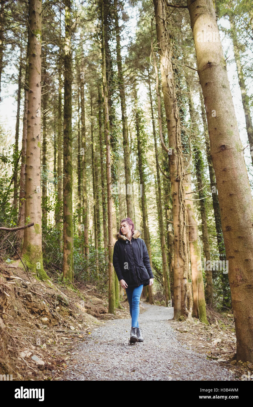 Having a walk hi-res stock photography and images - Alamy