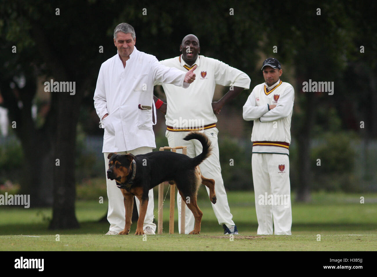 During a Cricket match at BARKING a rottweiler dog is seen entering the ...