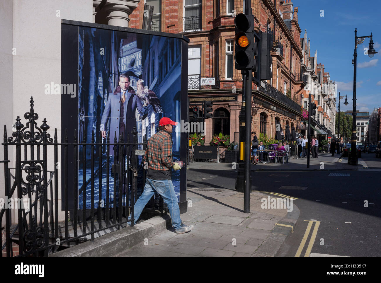 Bird hoarding hi-res stock photography and images - Alamy