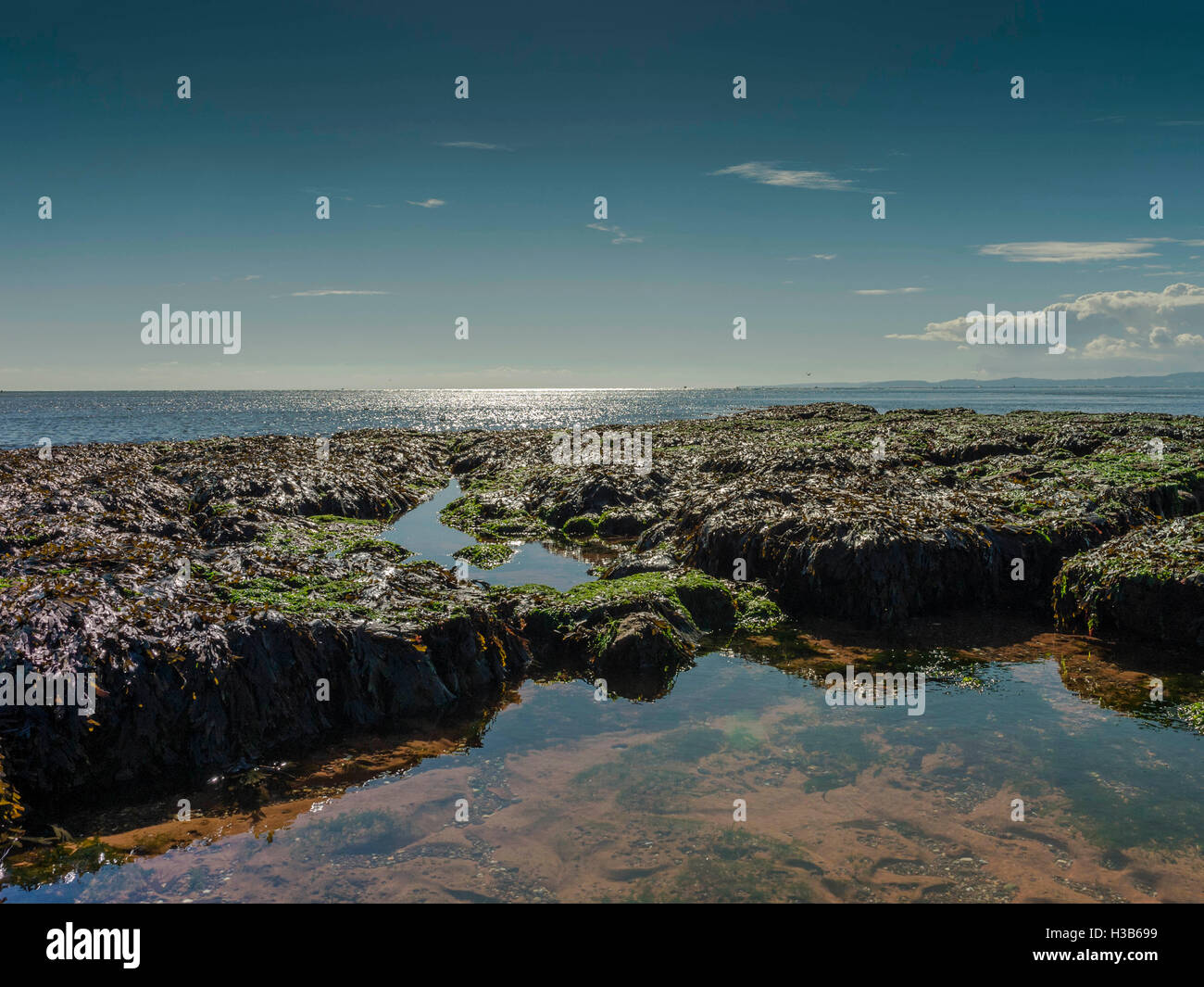 Autumn sunshine, blue skies, sand, seaweed, rock pools and gullies ...