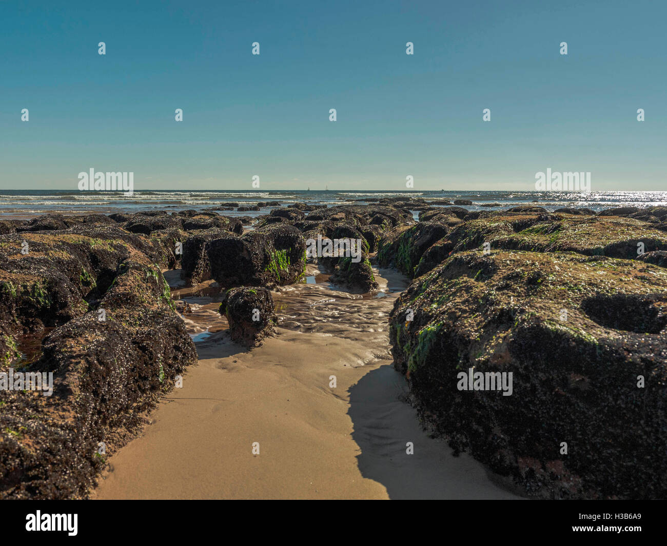 Autumn sunshine, blue skies, sand, seaweed, rock pools and gullies ...