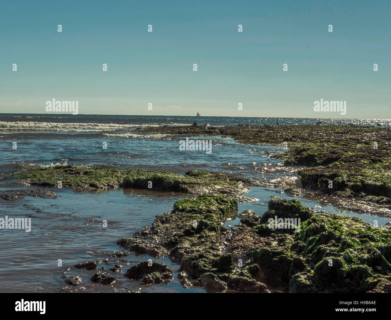 Autumn sunshine, blue skies, sand, seaweed, rock pools and gullies ...