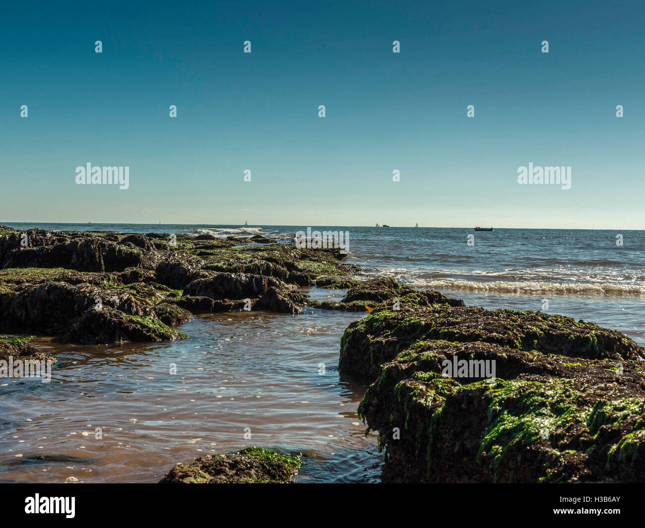 Autumn sunshine, blue skies, sand, seaweed, rock pools and gullies ...