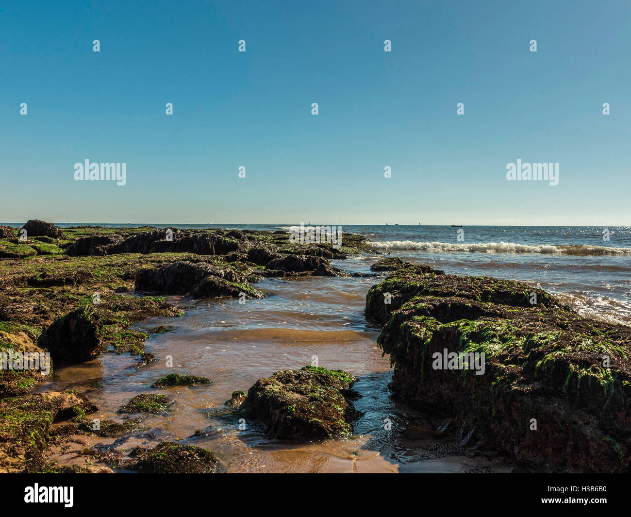 Autumn sunshine, blue skies, sand, seaweed, rock pools and gullies ...