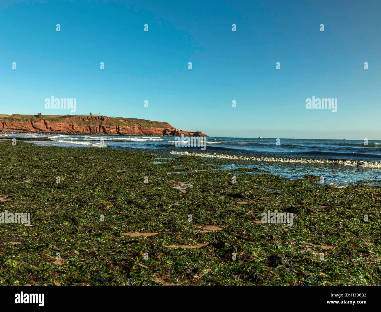 Rock pools exmouth beach devon hi-res stock photography and images - Alamy