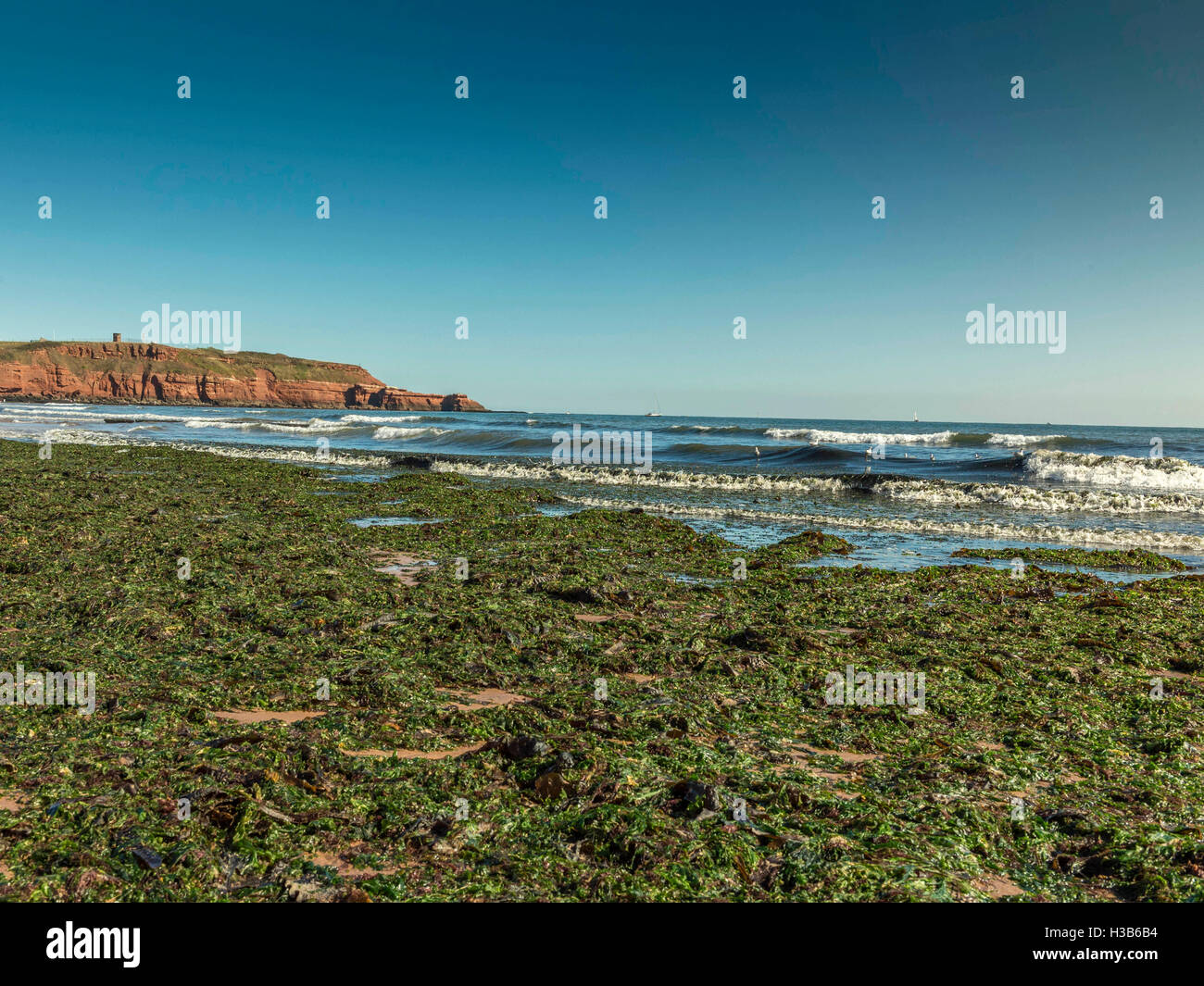 Autumn sunshine, blue skies, sand, seaweed, rock pools and gullies ...