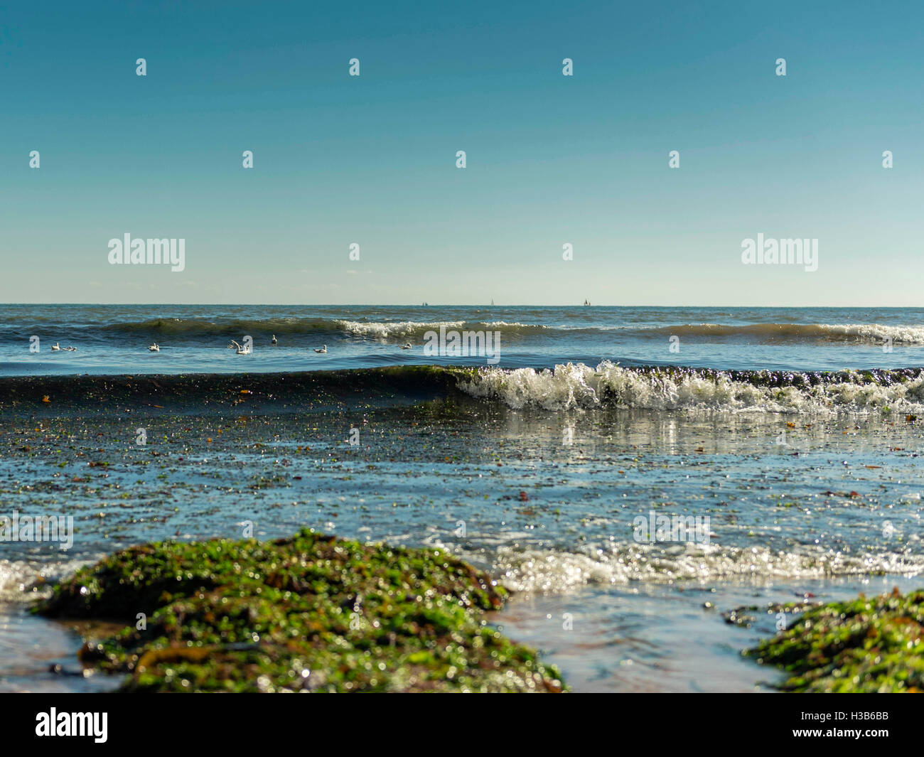 Rock pools exmouth beach devon hi-res stock photography and images - Alamy
