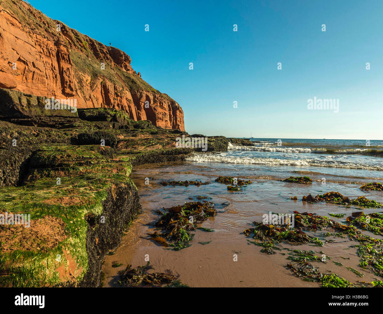 Autumn sunshine, blue skies, sand, seaweed, rock pools and gullies ...