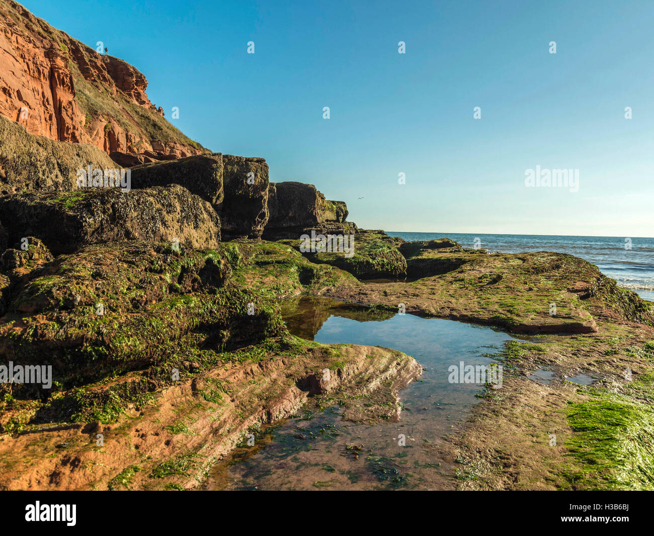 Autumn sunshine, blue skies, sand, seaweed, rock pools and gullies ...