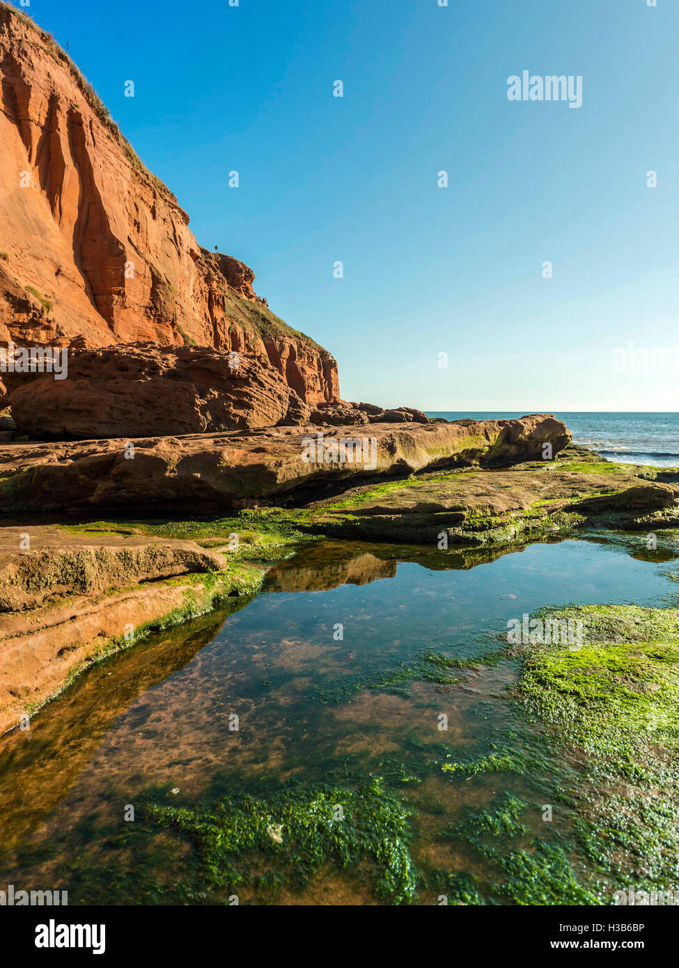 Autumn sunshine, blue skies, sand, seaweed, rock pools and gullies ...