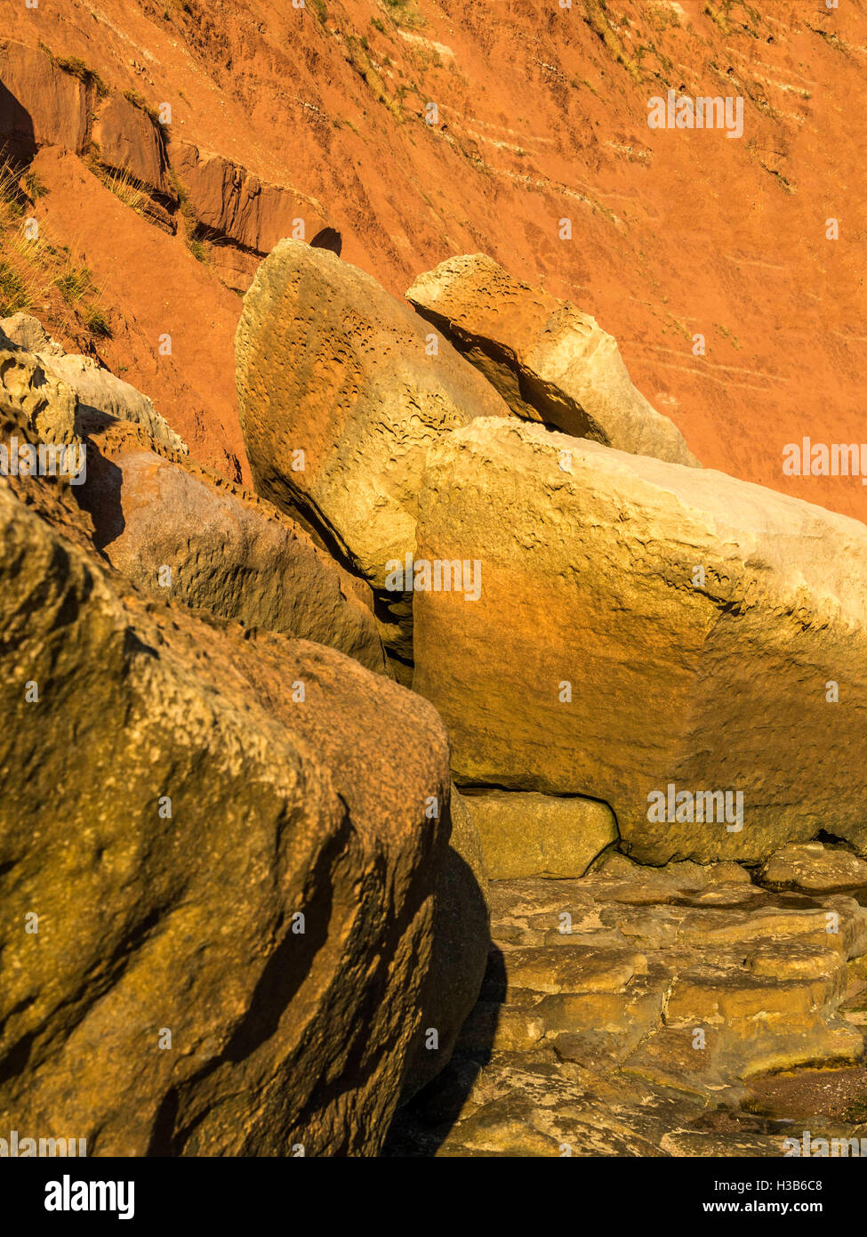 Sandy bay exmouth devon hi-res stock photography and images - Alamy