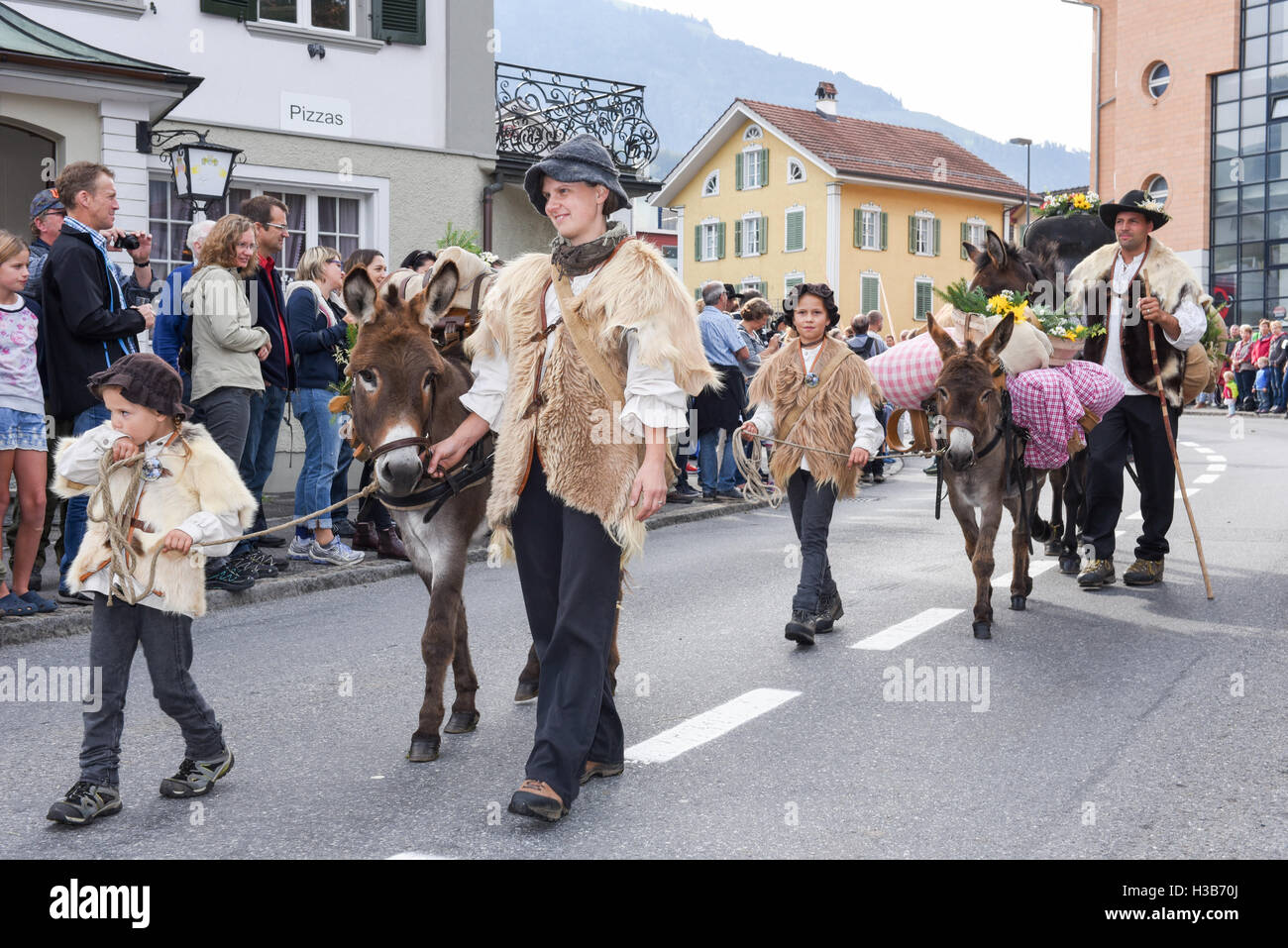 Donkey Parade High Resolution Stock Photography and Images - Alamy