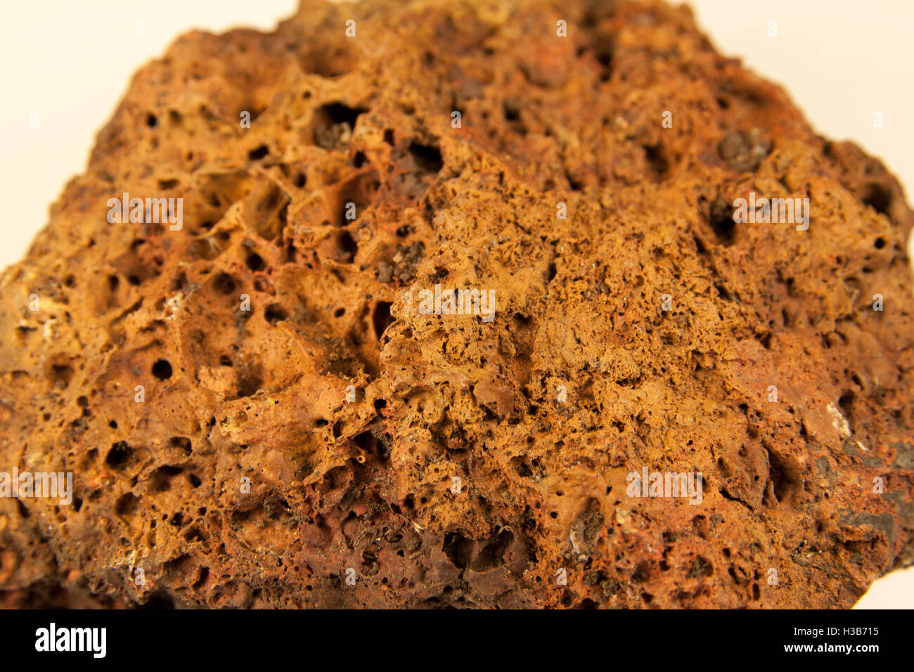 macro shot of a fine grained, extremely vesicular volcanic rock called ...