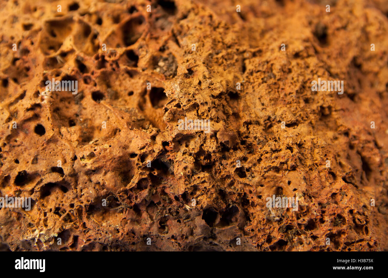 macro shot of a fine grained, extremely vesicular volcanic rock called ...