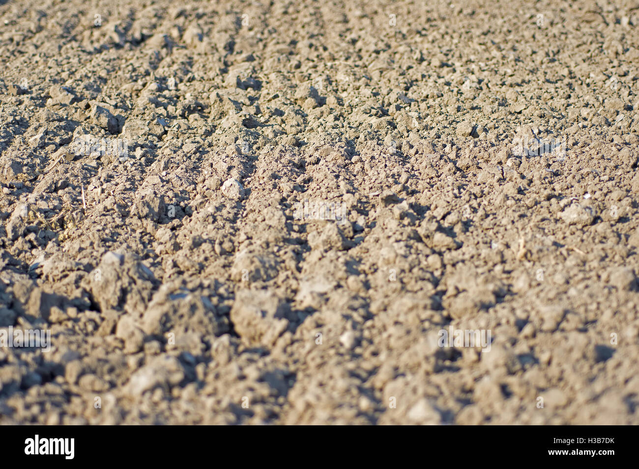 Soil Texture High Resolution Stock Photography and Images - Alamy