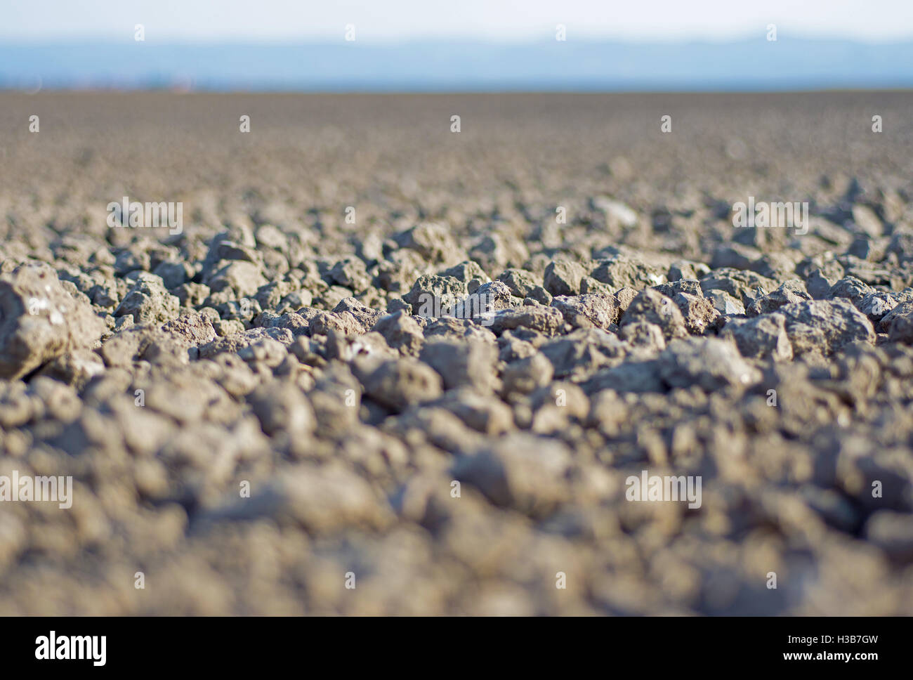 Ground Close Up. Arable Land. Soil Background. Fertile Land Stock Photo ...