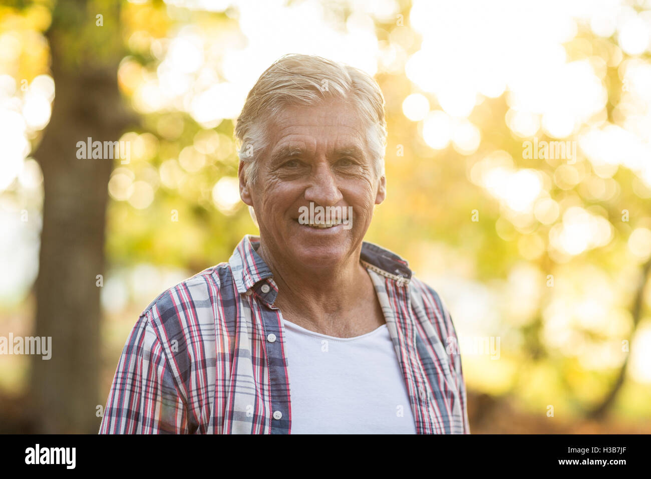 Senior man standing against trees Stock Photo - Alamy