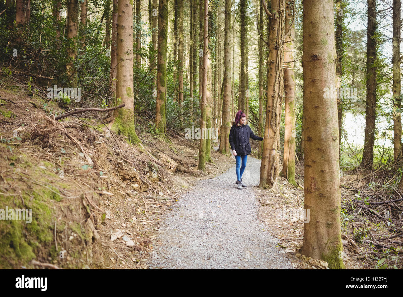 Woman having a walk Stock Photo - Alamy