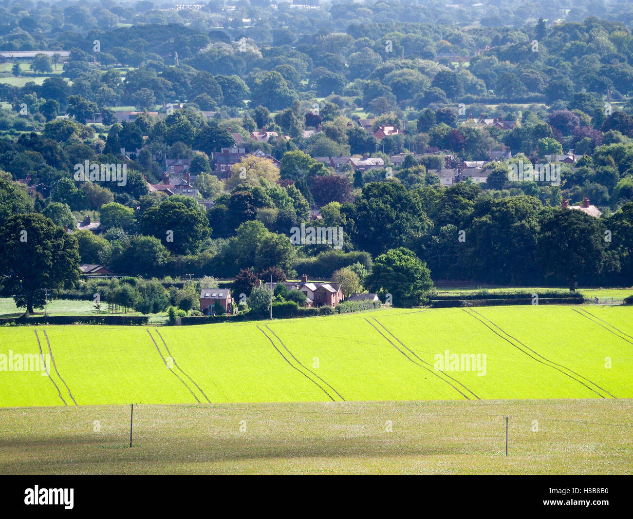 View of the Cheshire Countryside from Beeston Castle Stock Photo - Alamy