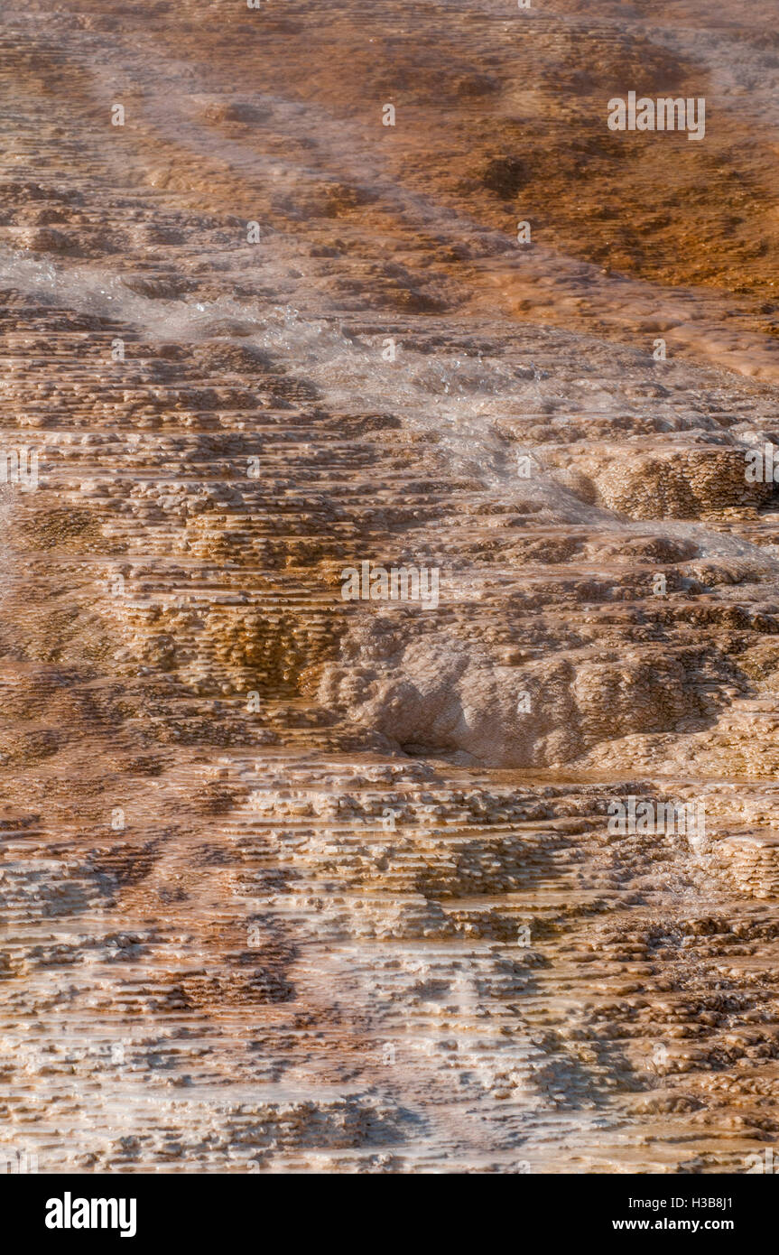 Mammoth Hot Springs terraces Yellowstone National Park, Wyoming, USA ...