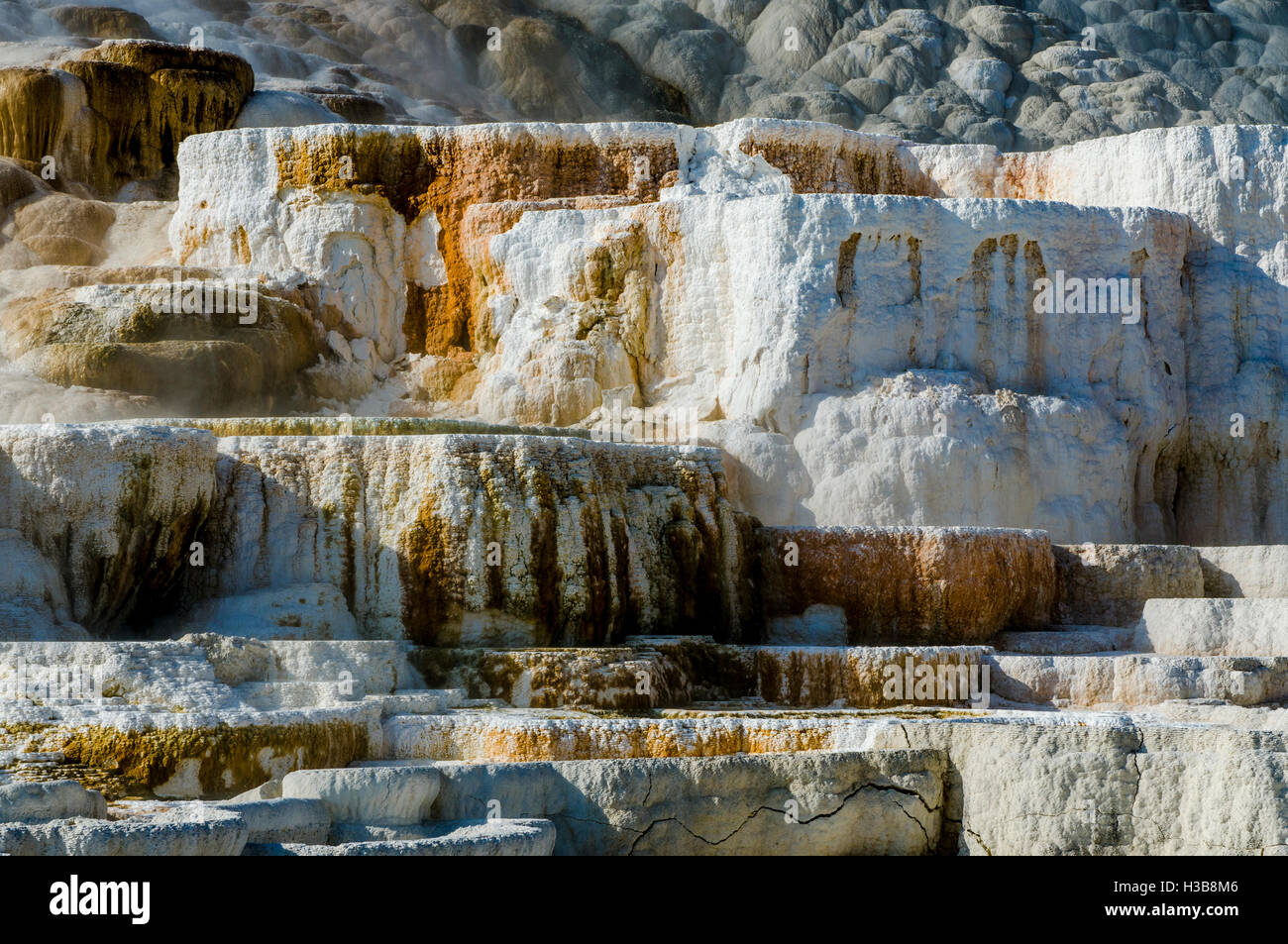 Mammoth Hot Springs terraces Yellowstone National Park, Wyoming, USA Stock Photo - Alamy