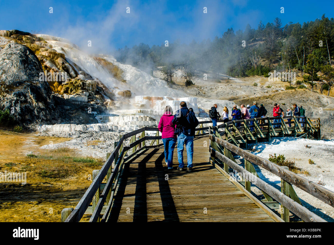 People viewing Mammoth Hot Springs terraces Yellowstone National Park, Wyoming, USA Stock Photo ...